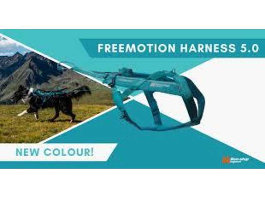 Non Stop Dogwear Freemotion Harnas 5.0 Teal - CaniCross Winkel van ...